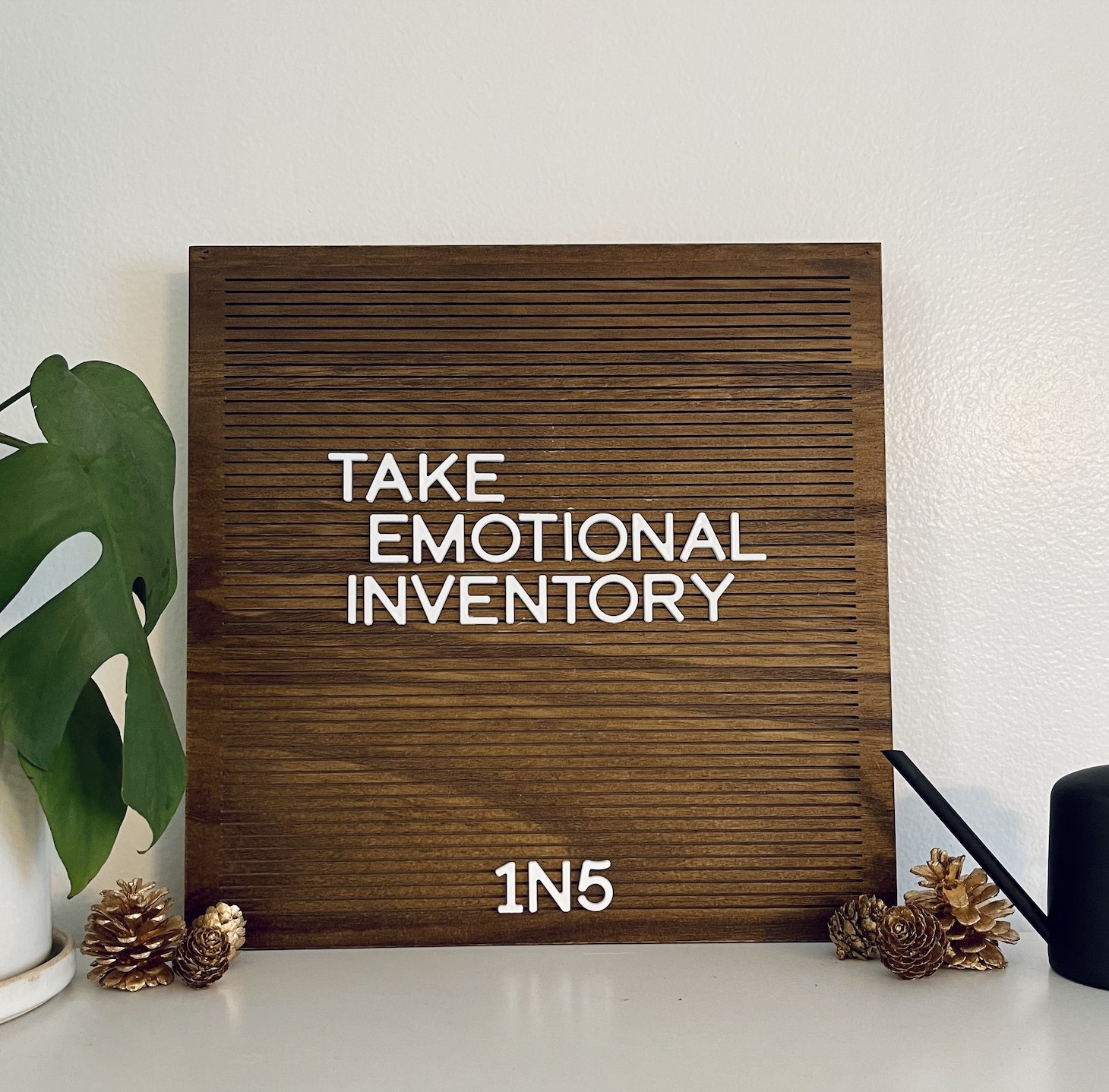 Take Emotional Inventory - 1N5
