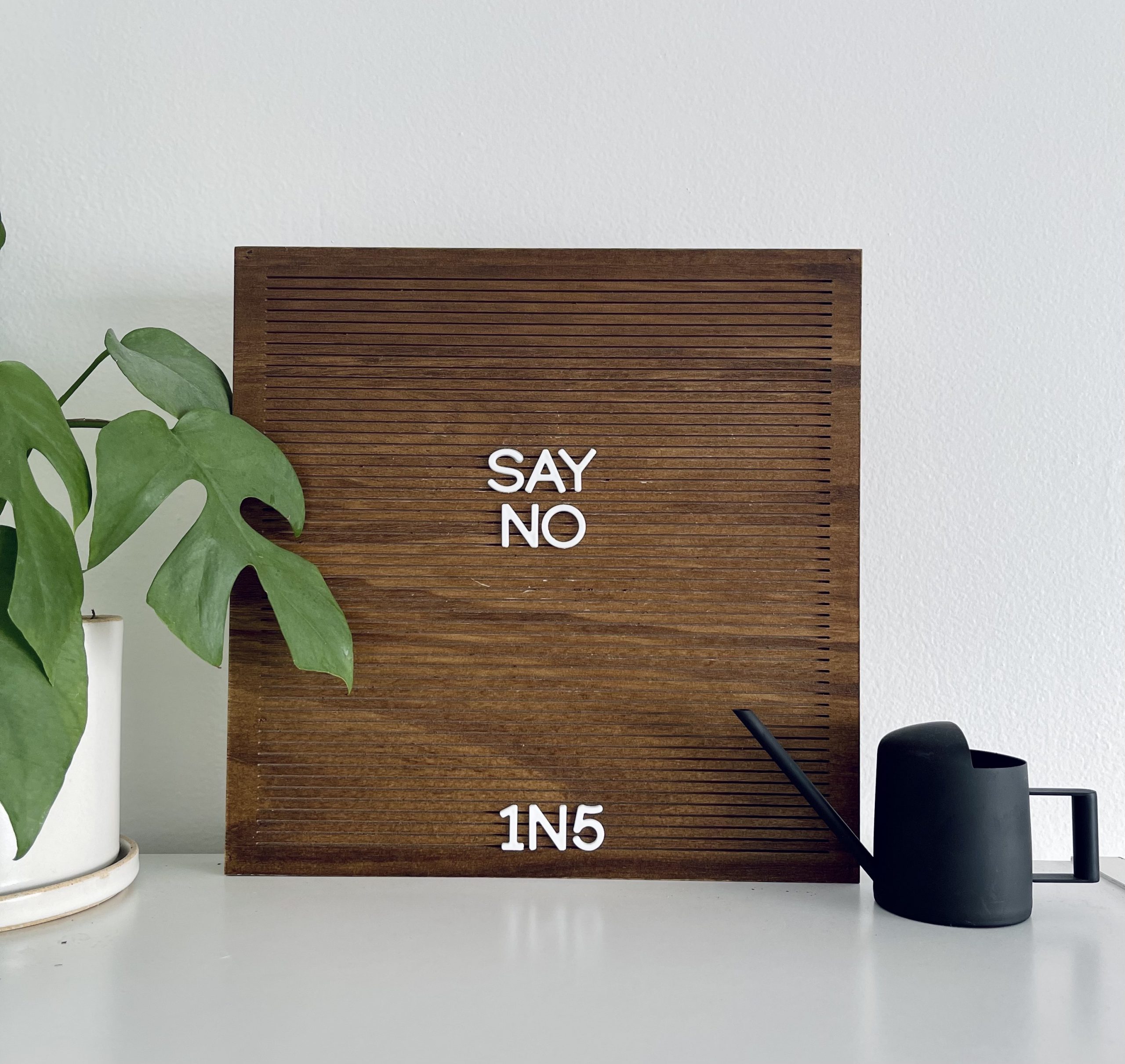 Learn How to Say No - 1N5